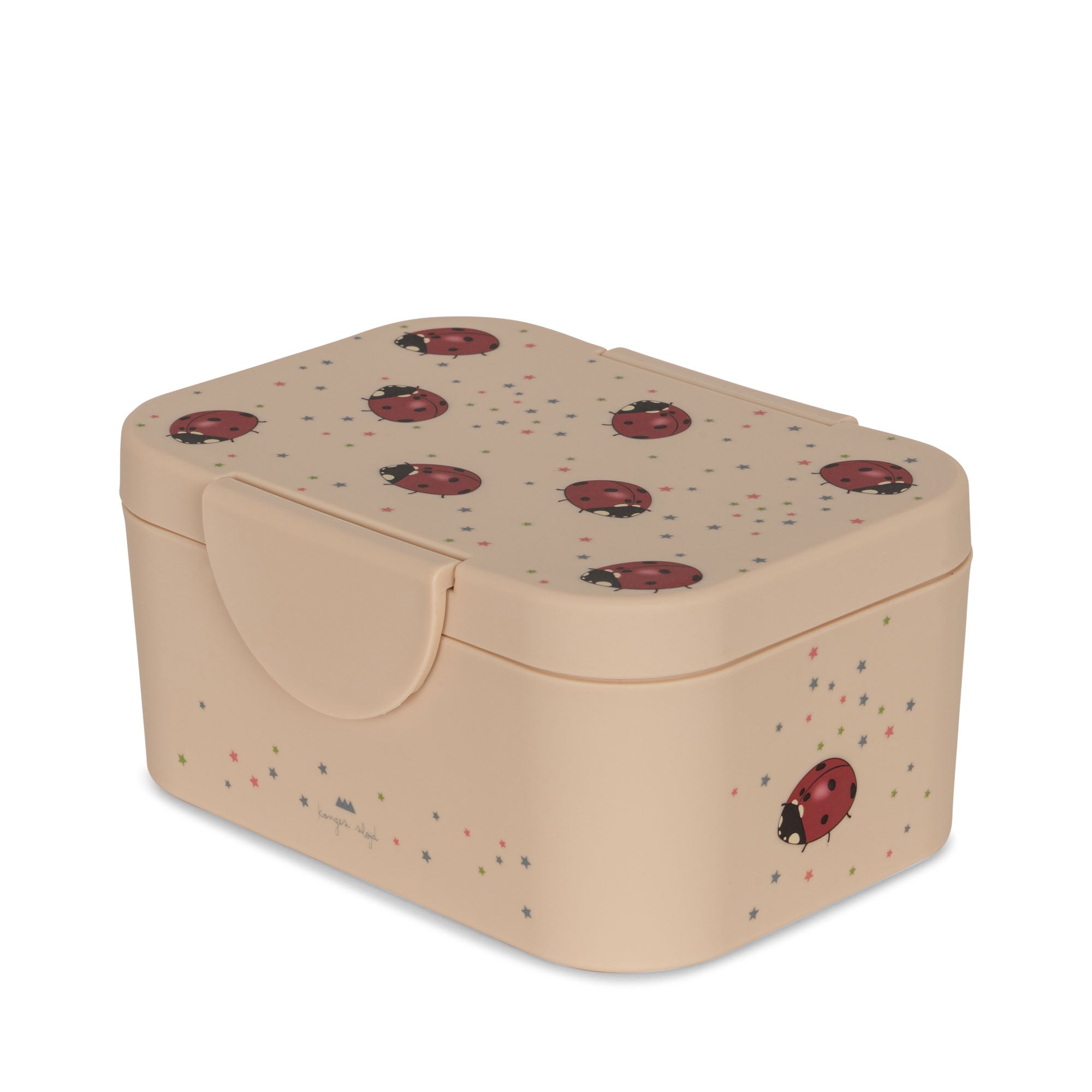 Lunch Box | Ladybug/Skateosaurus | Marigold Modern Kids